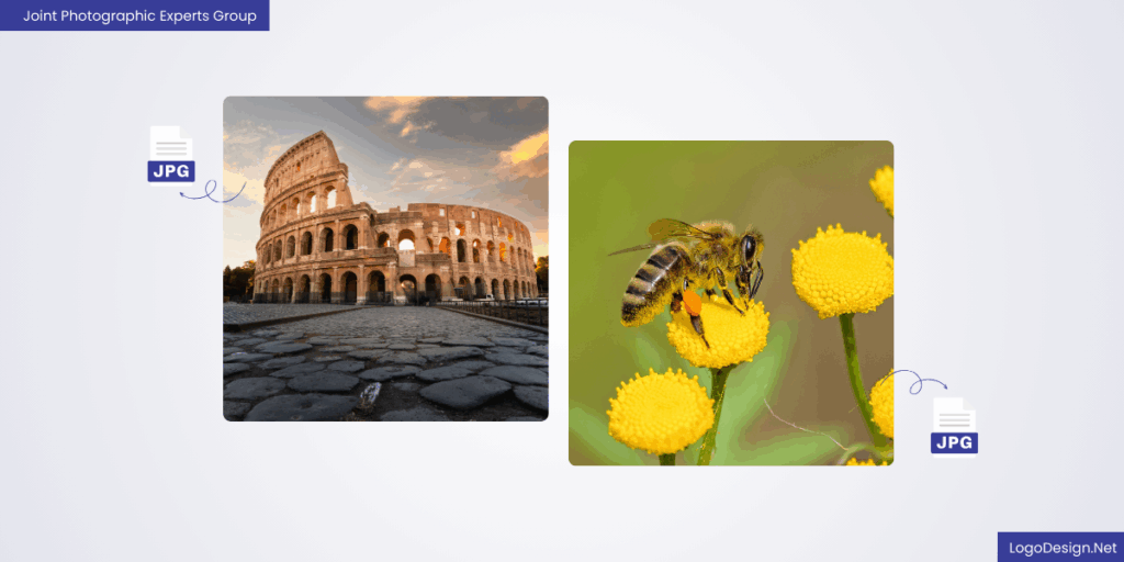 Quick guide for logo file formats for small businesses