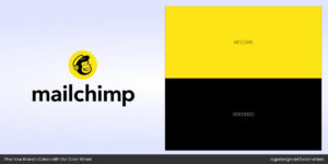 How to Build a Color Palette for Your Brand: A Complete Guide