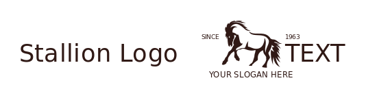 Design Stallion Logos | Powerful Stallion Logo Images | LogoDesign.net