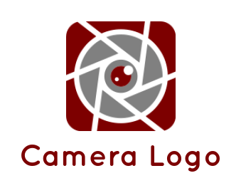 Download Camera Logos | Perfect Camera Logo Ideas | LogoDesign.net